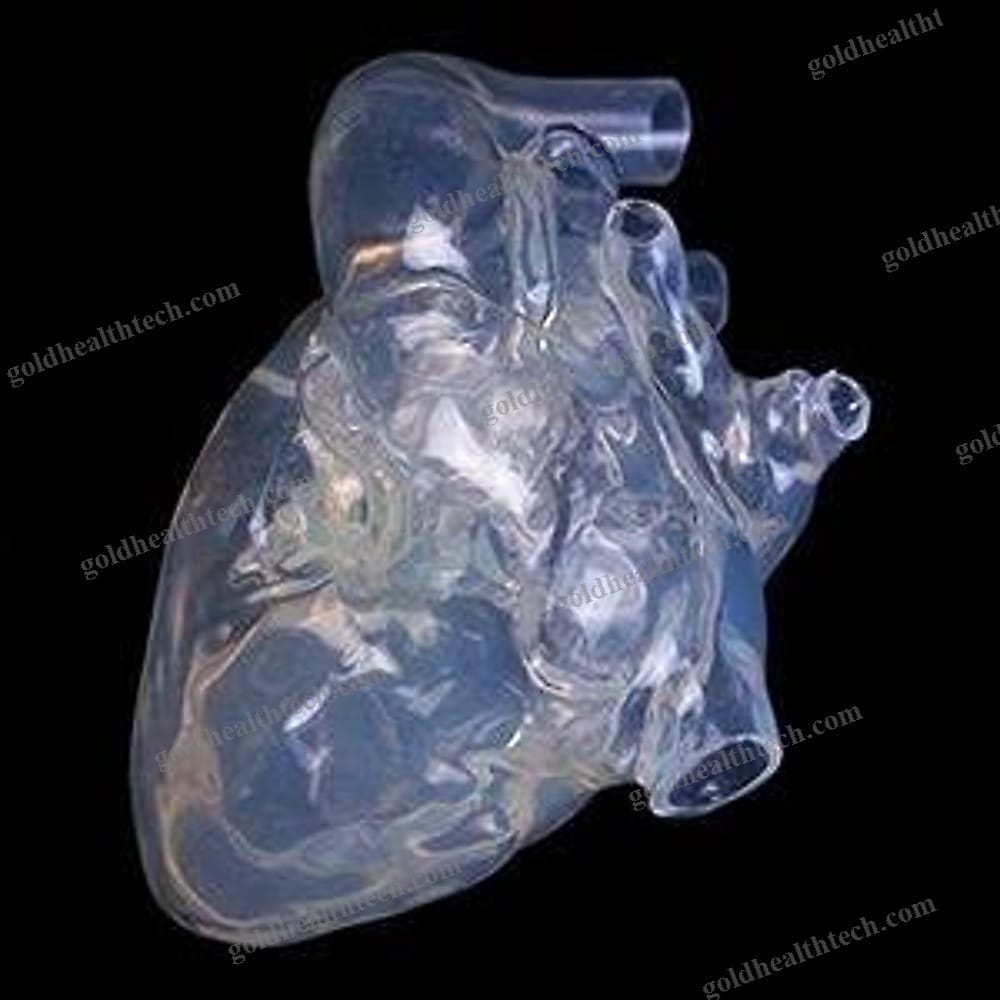 Durable Heart Model Sale or Rent Near Me – Gold Health Tech